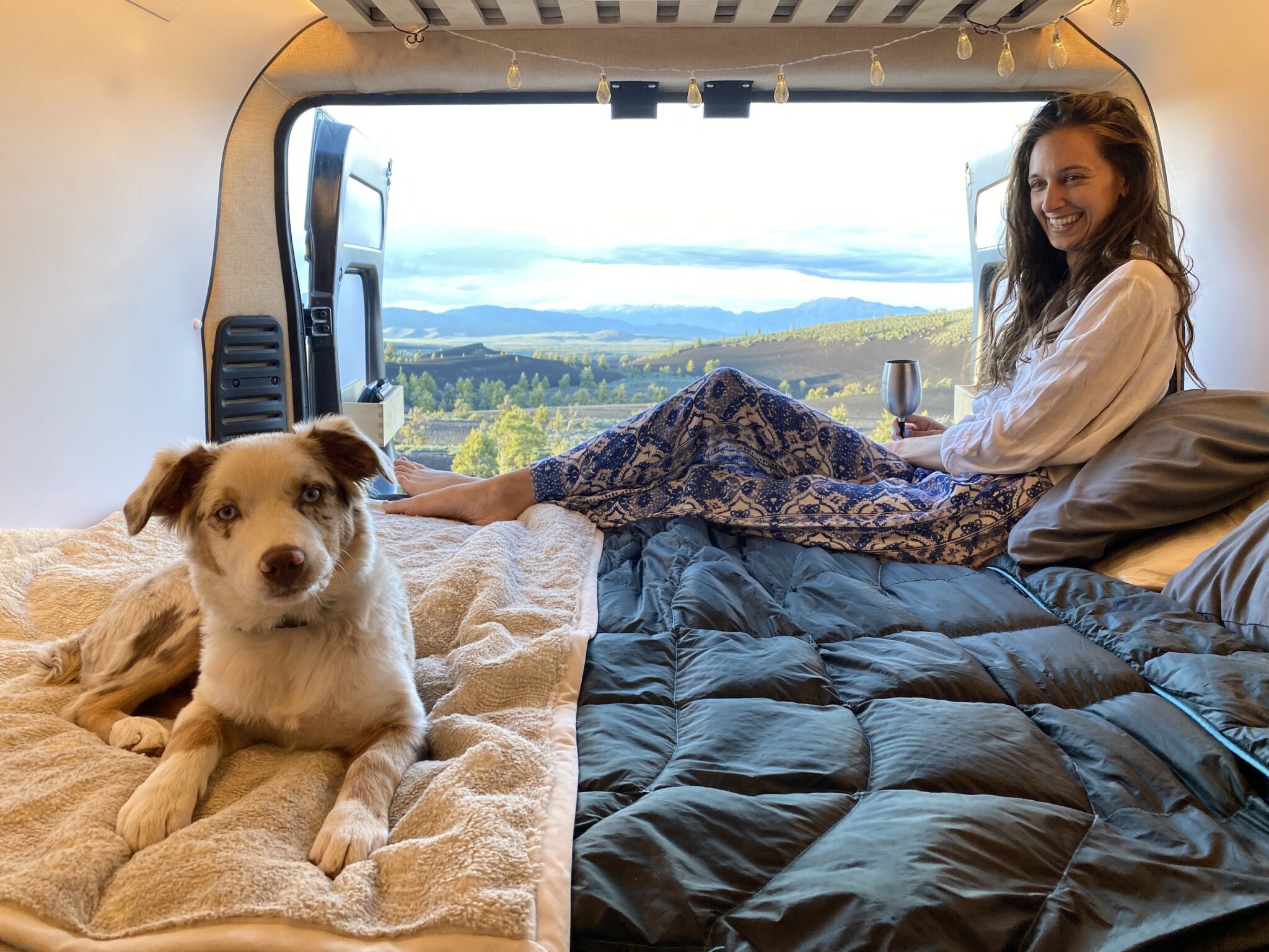 Top 5 Tips for RV Adventuring With Your Dog | Native Campervans